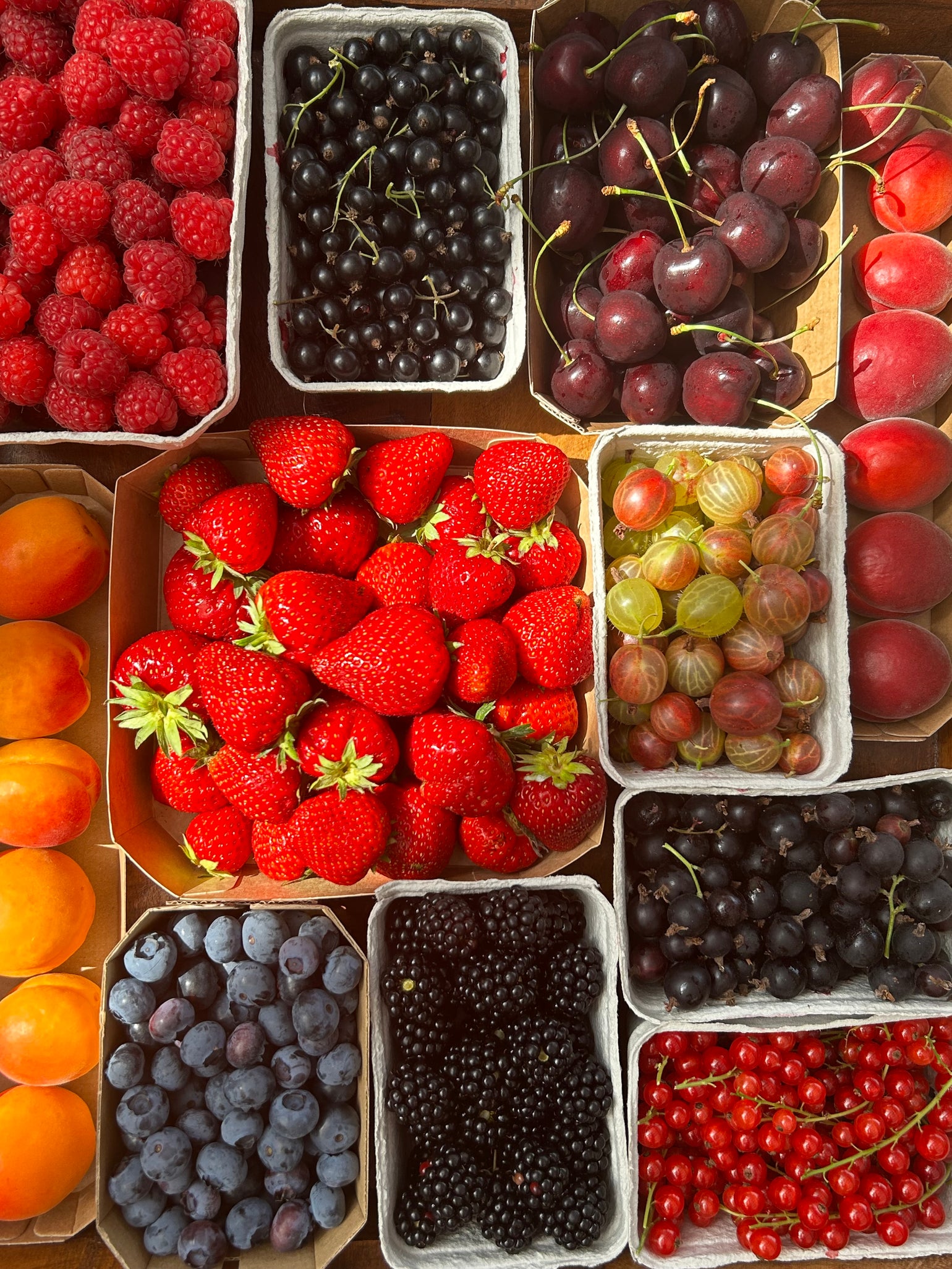 Beeren selbst pflücken – Erlebnis auf dem Hof Moorhörn – Himbeer Hof Moorhoern